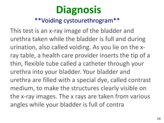 Urinary Tract Infection | PPT