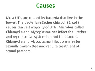 Urinary Tract Infection | PPT