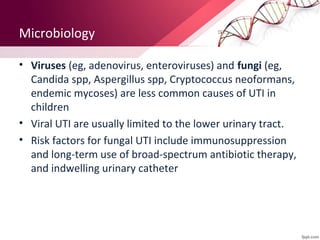 Urinary tract-infections-children | PPT | Infectious Diseases ...