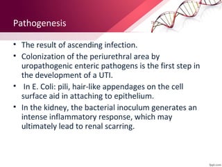 Urinary tract-infections-children | PPT | Infectious Diseases ...