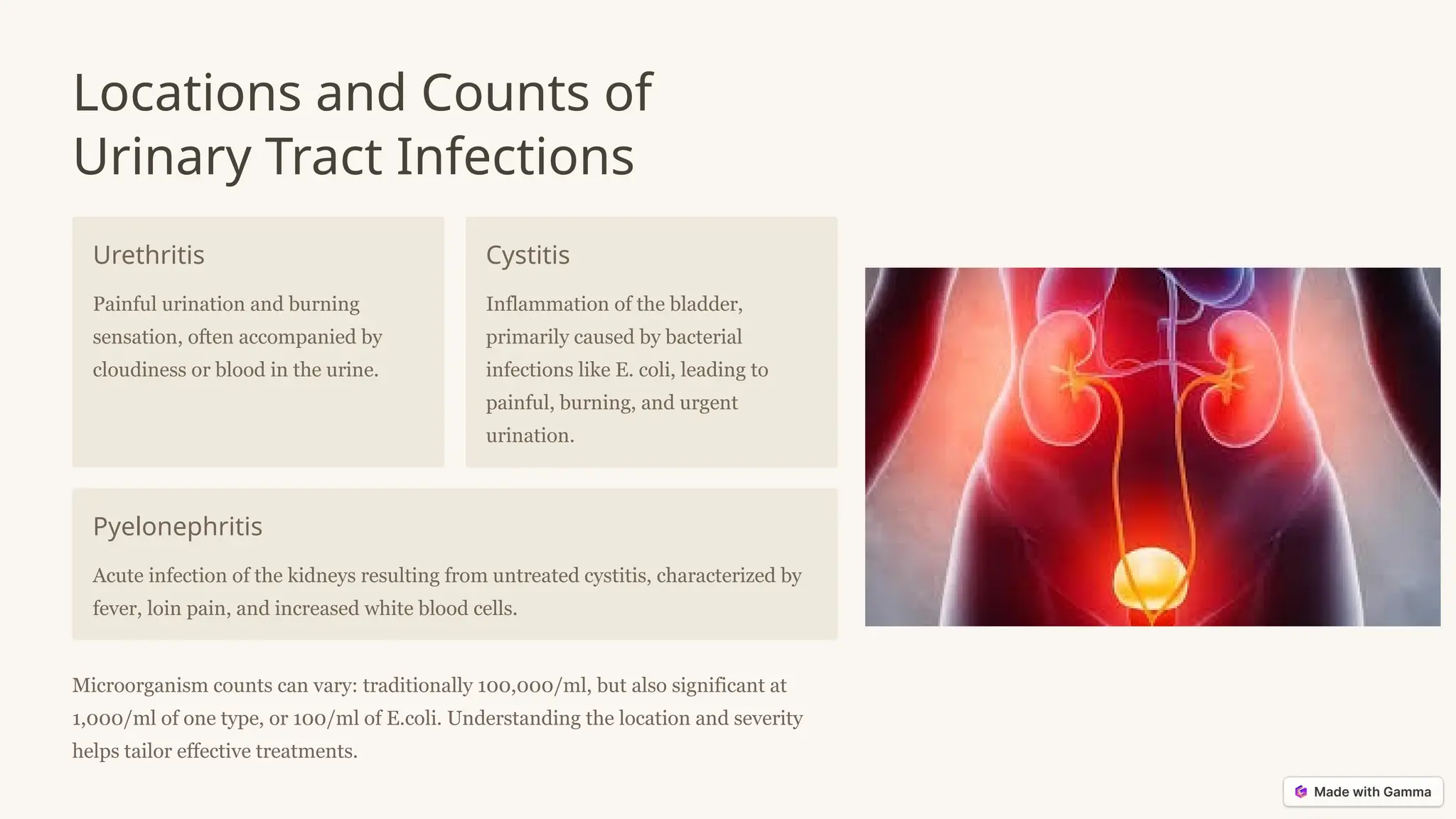 Urinary-Tract-Infections moa defination . | PPTX