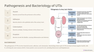 Urinary-Tract-Infections moa defination . | PPTX