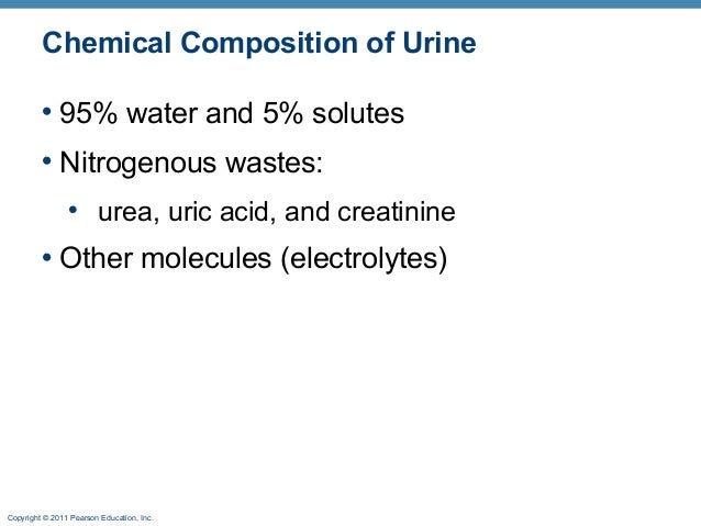 Medical Breakthrough Chemical Composition Of Human Urine