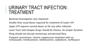 Drugs Used in Urinary Tract Infection | PPTX
