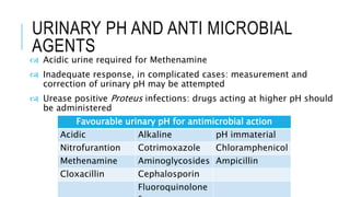 Drugs Used in Urinary Tract Infection | PPTX