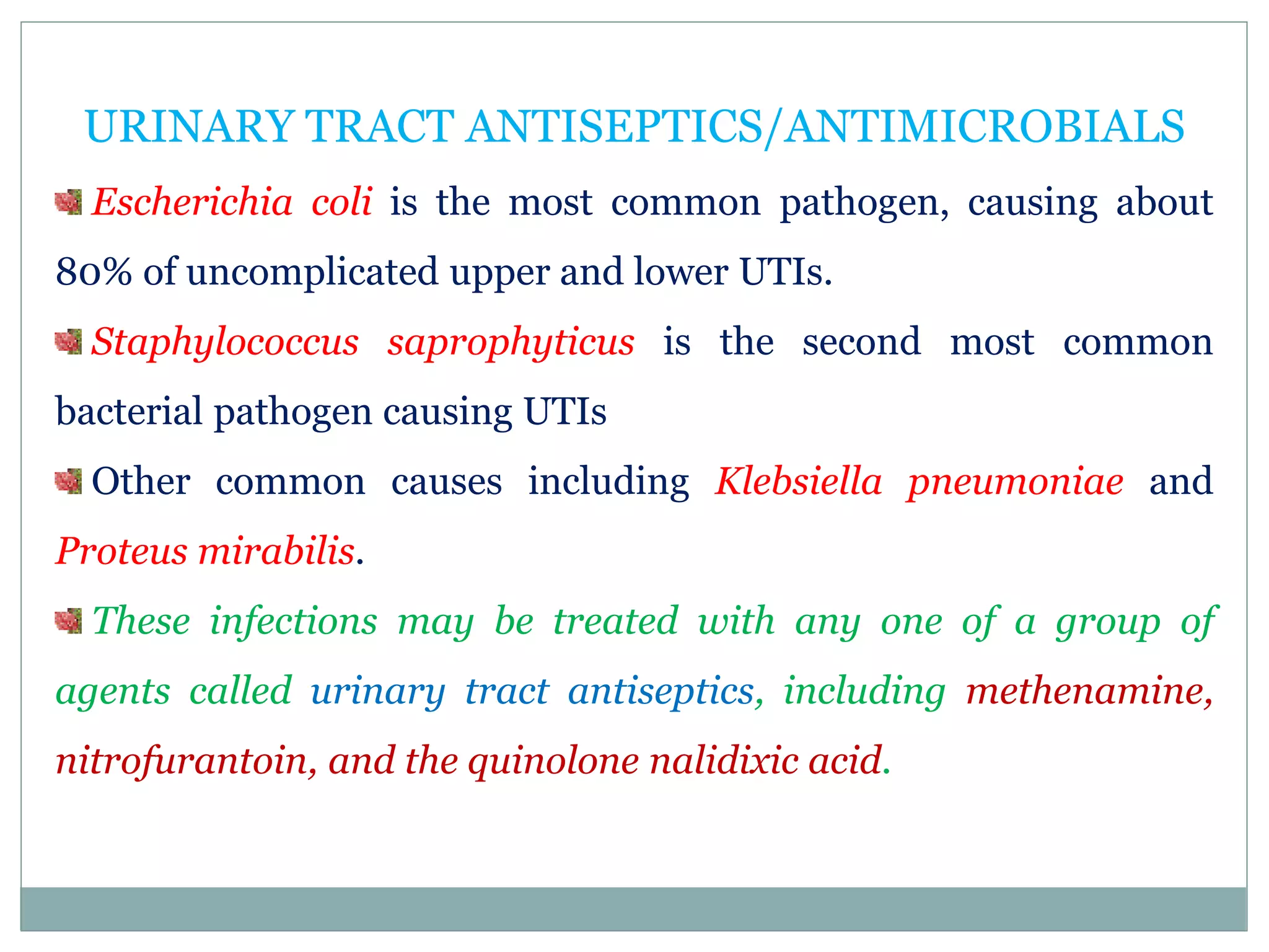 Urinary Antiseptics, Drugs used in STDs and UTI | PPTX