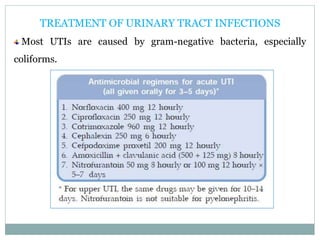 Urinary Antiseptics, Drugs used in STDs and UTI | PPTX