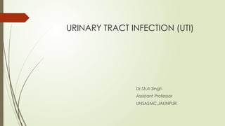 DRUGS USED IN UTI OR URINARY ANTISEPTICS | PPTX