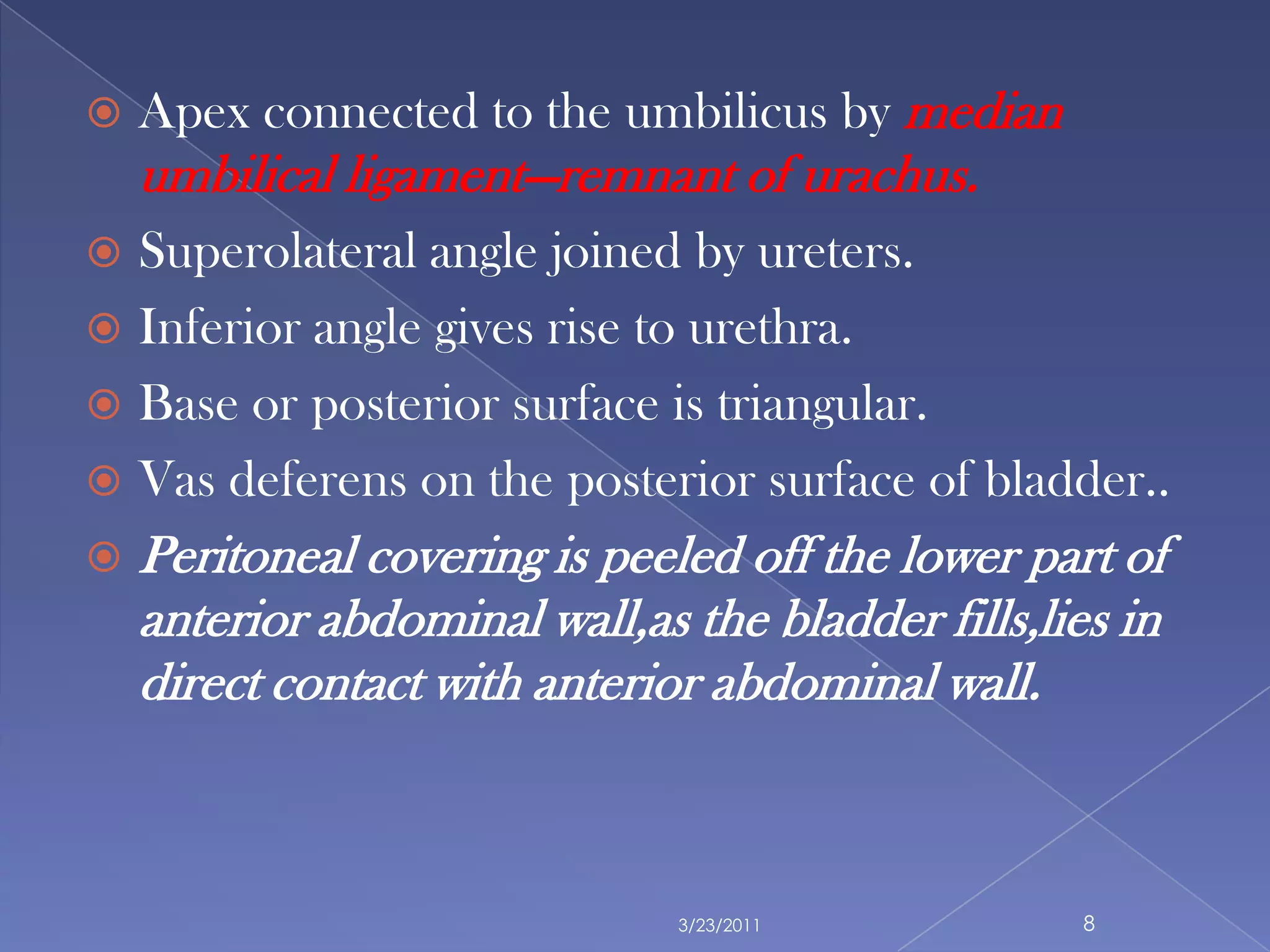 Urinary bladder | PPTX