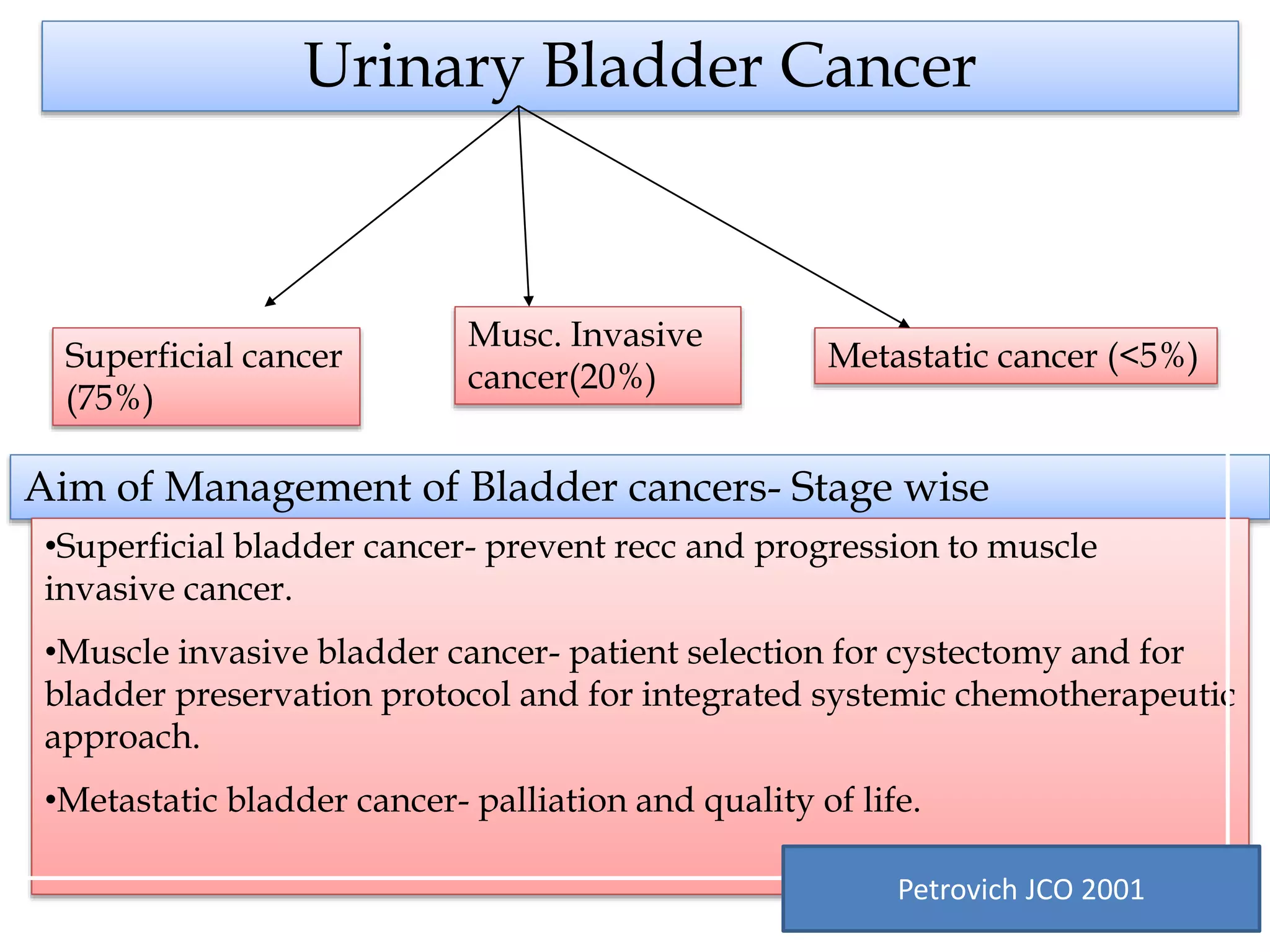 Urinary bladder | PPT