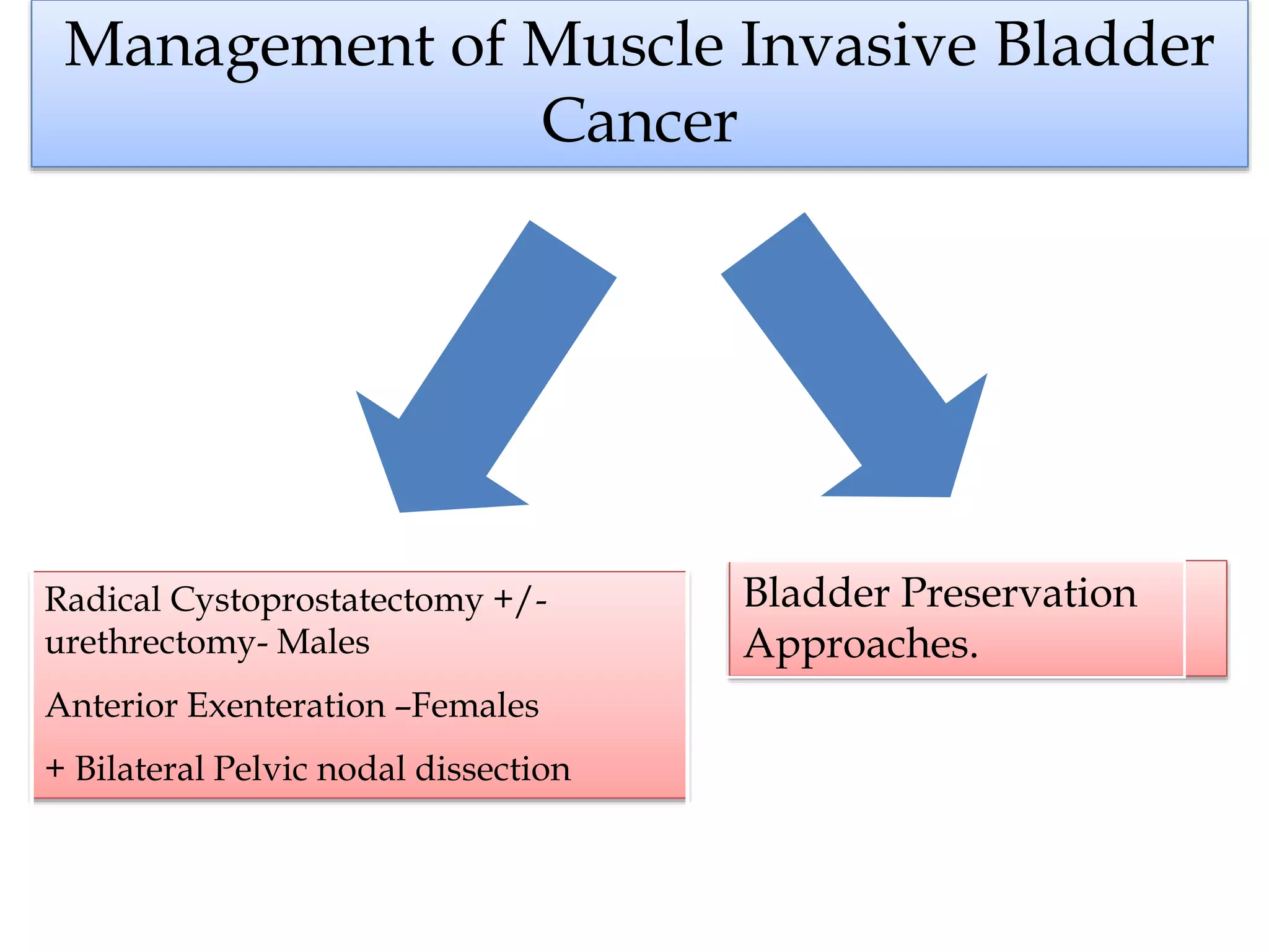 Urinary bladder | PPT