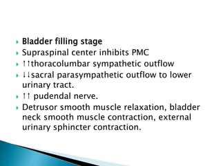 Urinary bladder | PPTX
