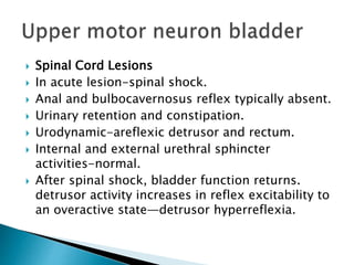 Urinary bladder | PPTX