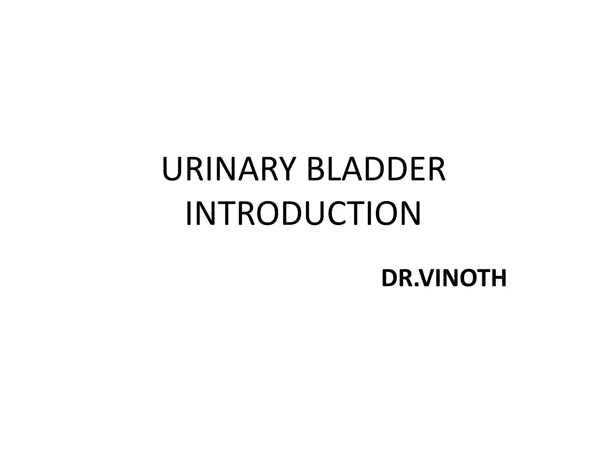 Urinary bladder | PPT