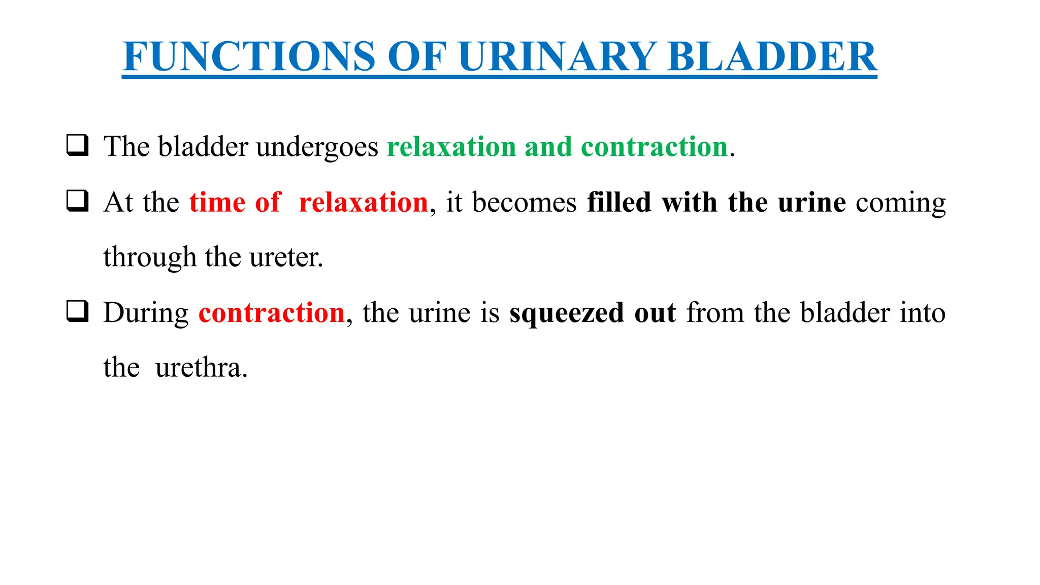 URINARY BLADDER.pptx