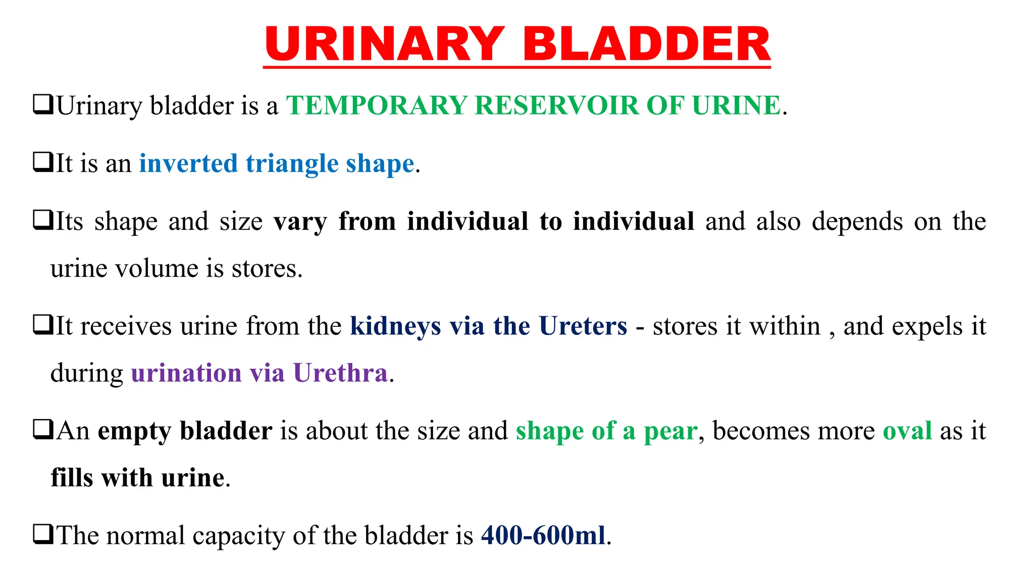 URINARY BLADDER.pptx