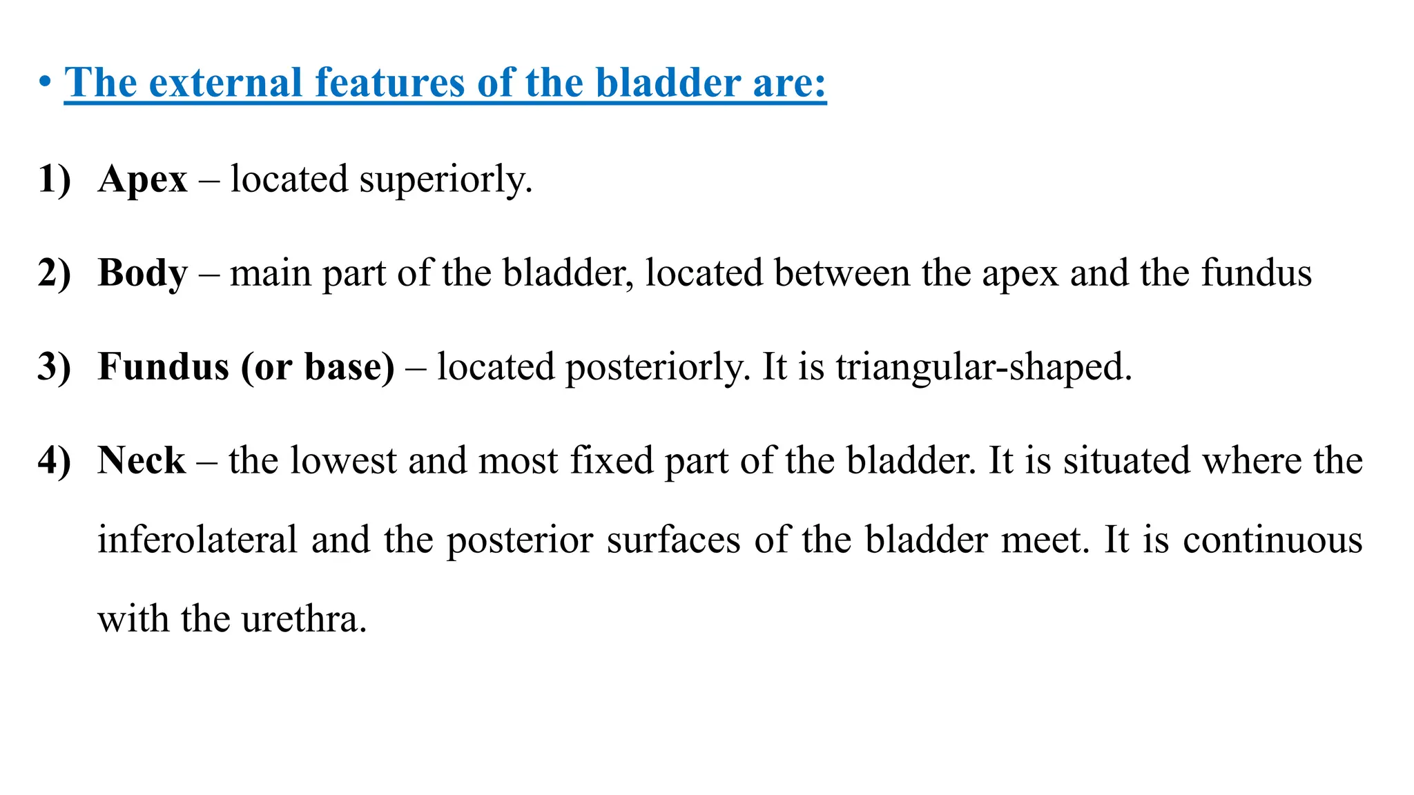 URINARY BLADDER.pptx