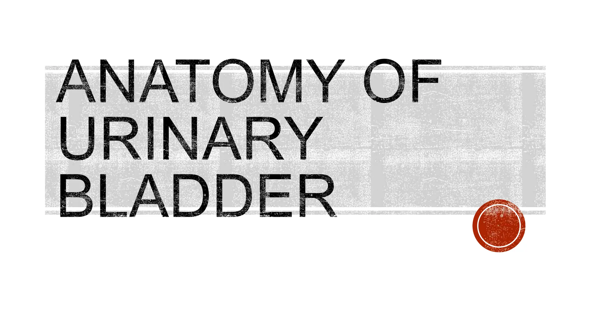 Surgical Anatomy of Urinary bladder.pptx