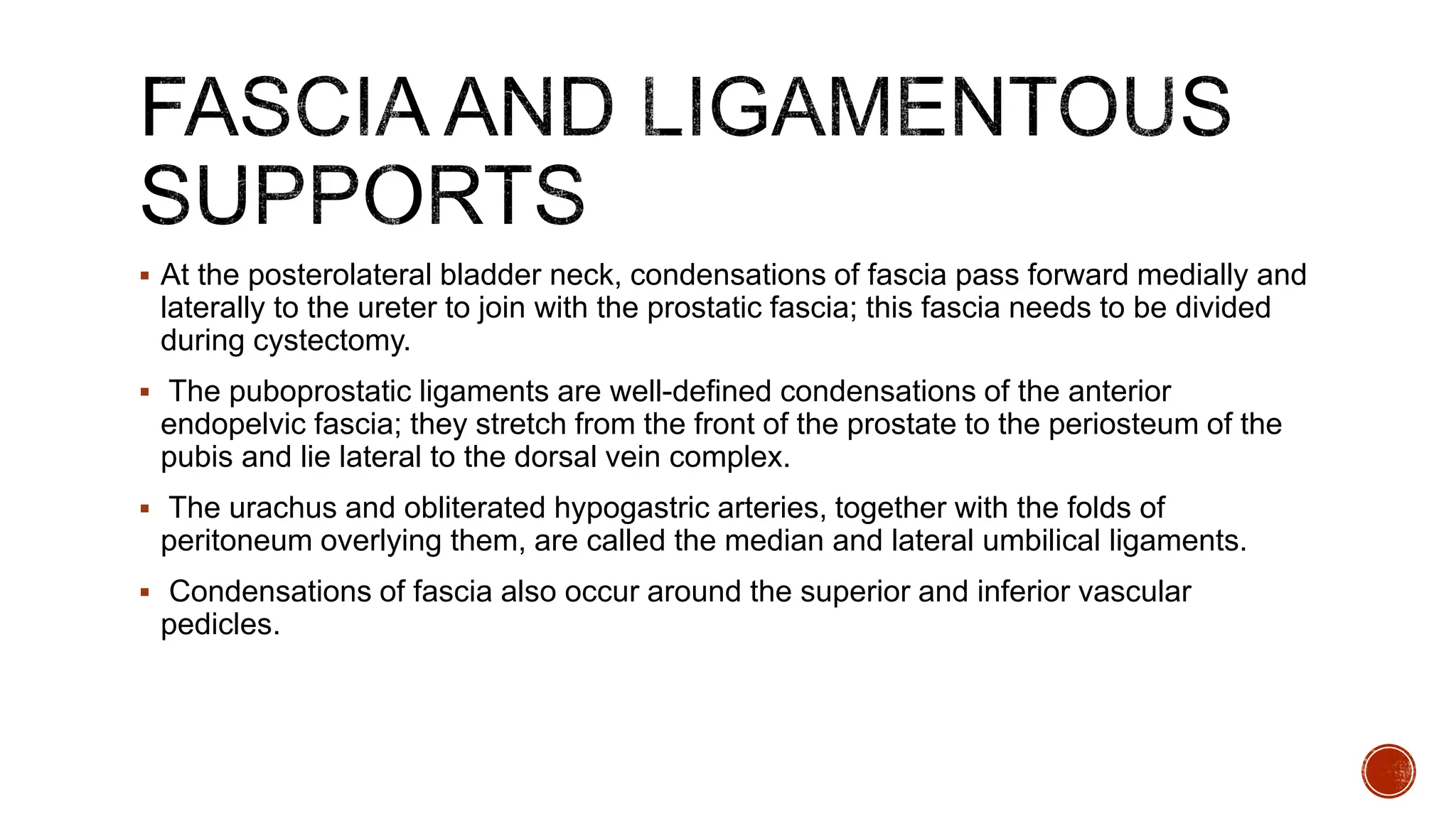 Surgical Anatomy of Urinary bladder.pptx