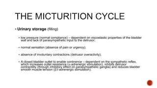 Surgical Anatomy of Urinary bladder.pptx