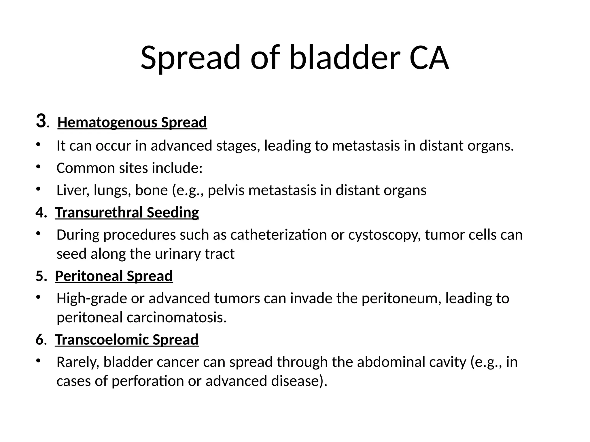 urinary bladder.pptxbhhhhfghhgghhhhhhgff | PPTX