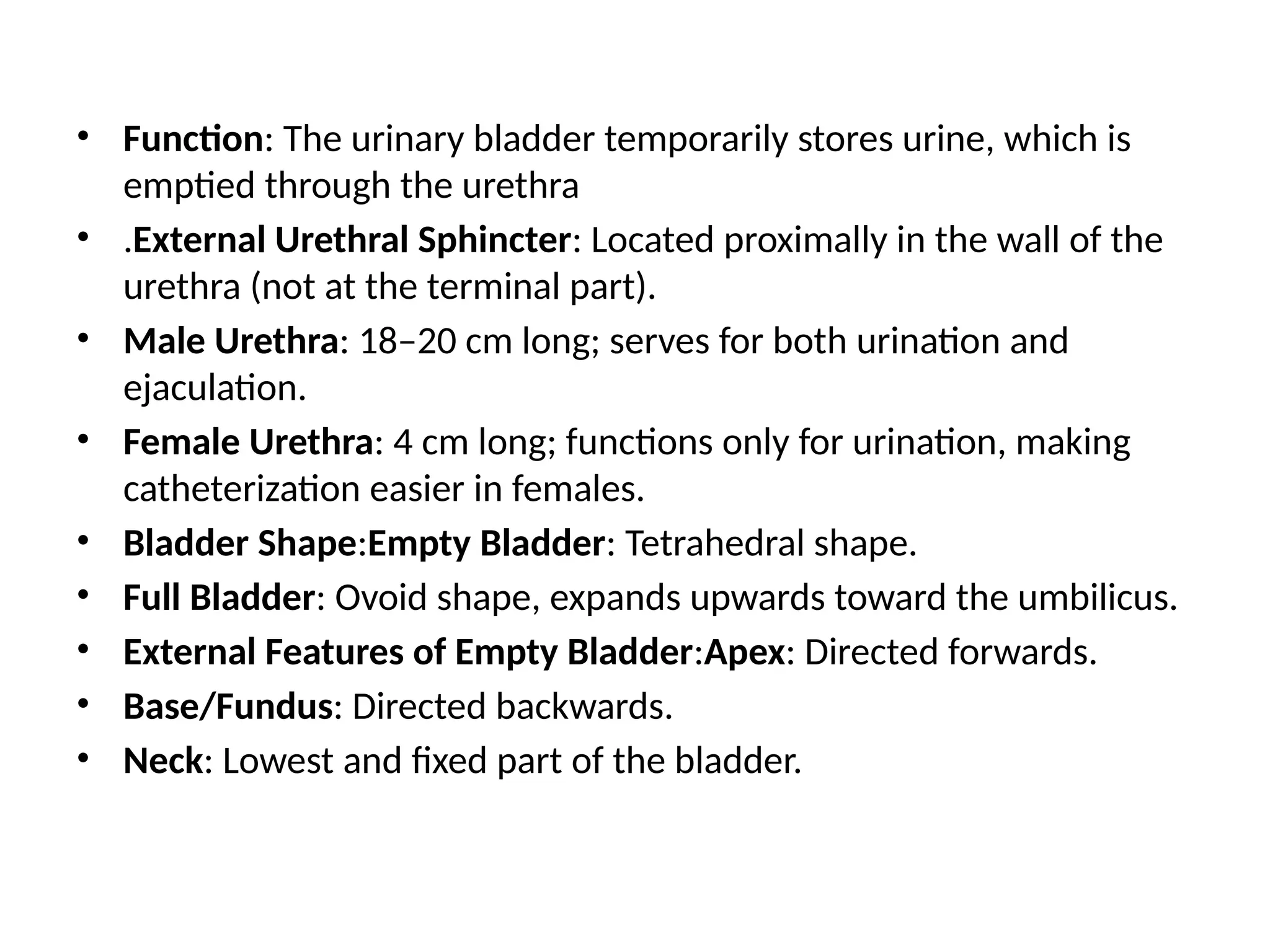 urinary bladder... system............PPTX