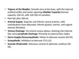 urinary bladder... system............PPTX
