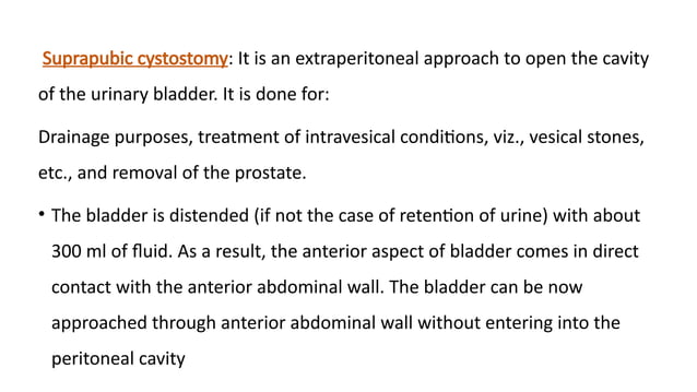 URINARYBLADDER gross features with relations.pptx