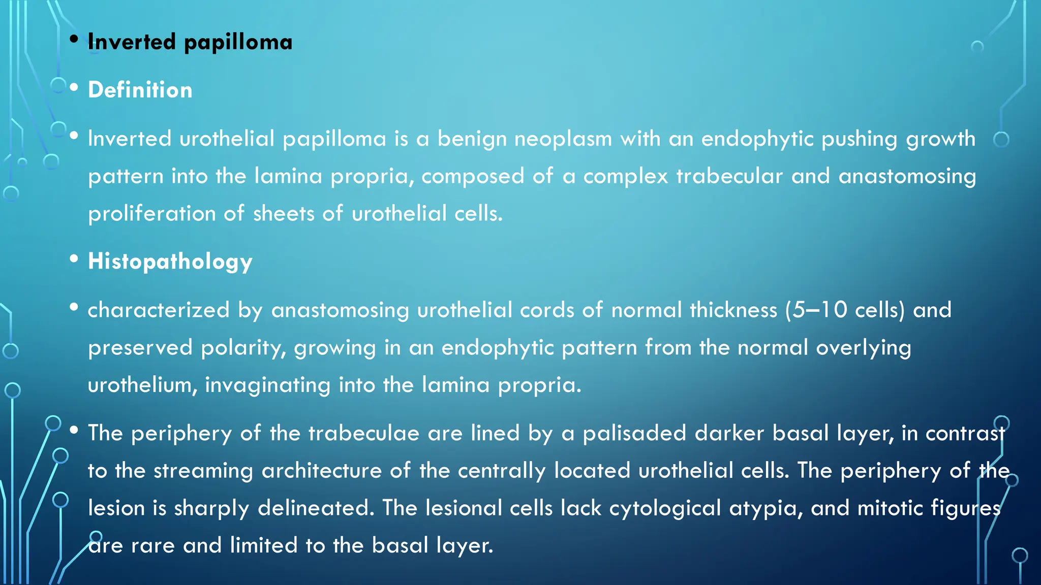 urinary bladder nonneoplastic and neoplastic | PPTX