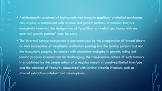 urinary bladder nonneoplastic and neoplastic | PPTX