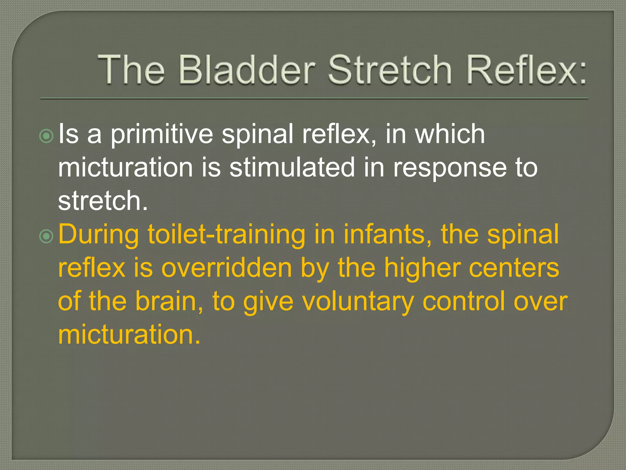 Urinary bladder anatomy | PPTX