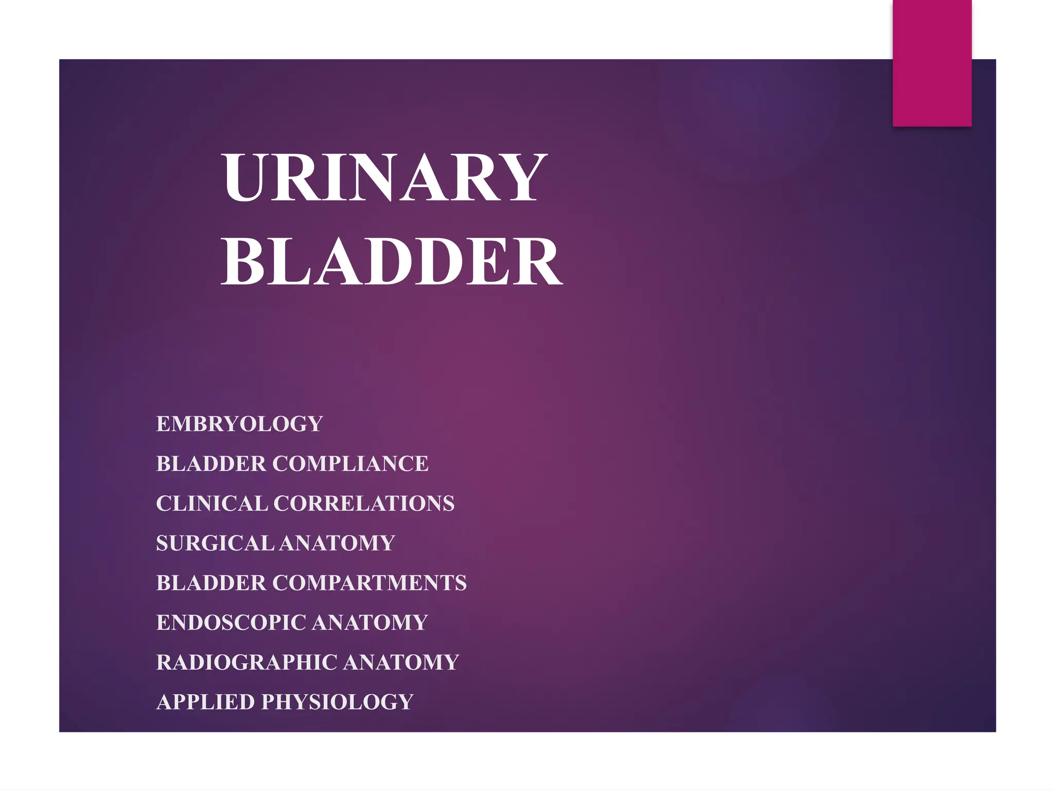 URINARY BLADDER human anatomy powerpoint | PPTX