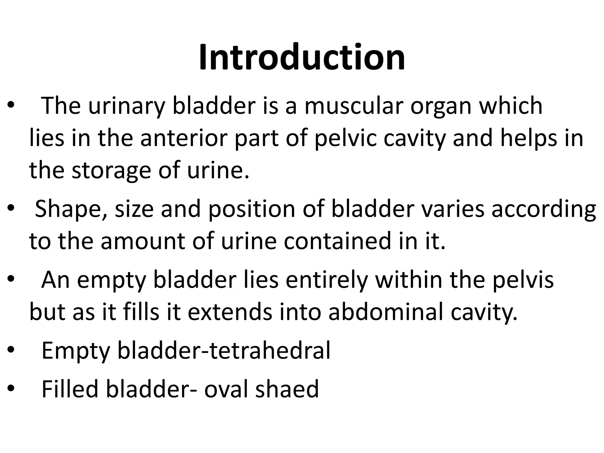 Urinary bladder anatomy and physiology | PPTX