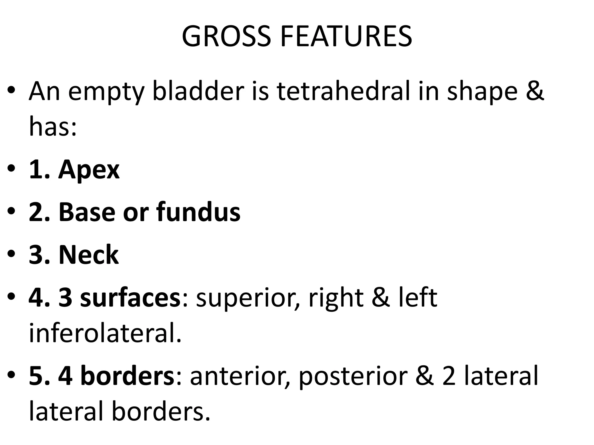 Urinary bladder anatomy and physiology | PPTX