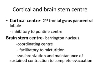 Urinary bladder anatomy and physiology | PPTX