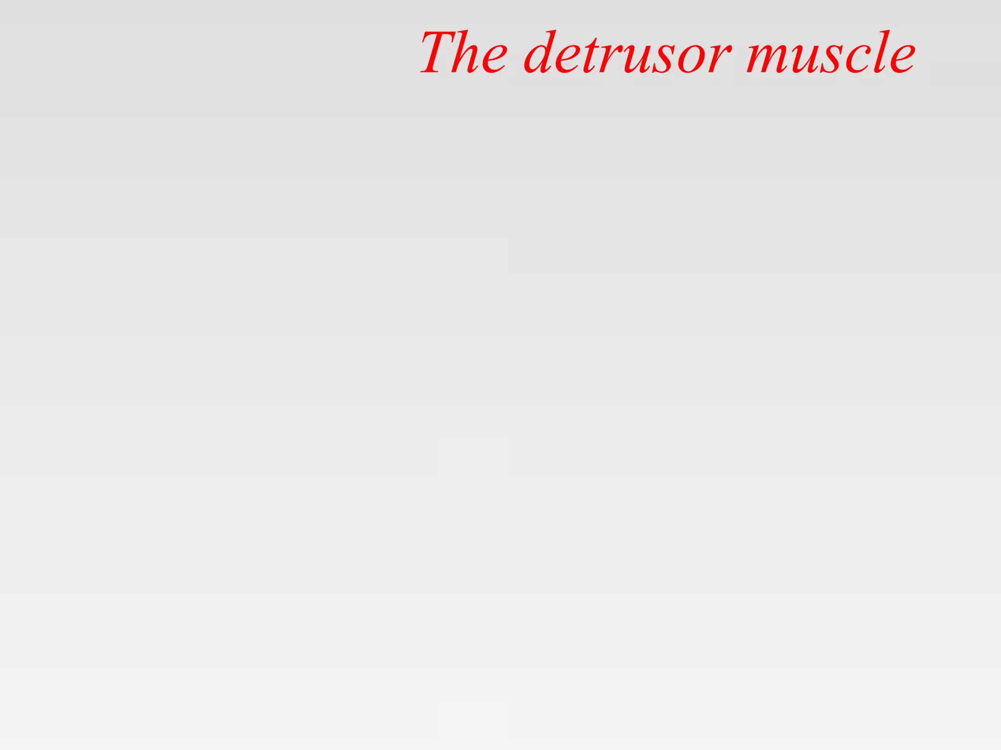 Urinary bladder anatomy, congenital anomalies.pptx