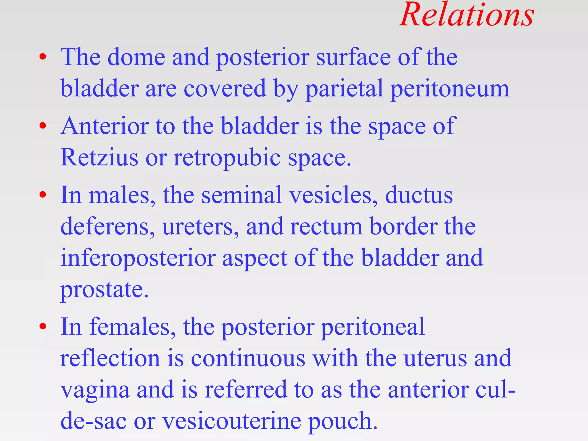 Urinary bladder anatomy, congenital anomalies.pptx