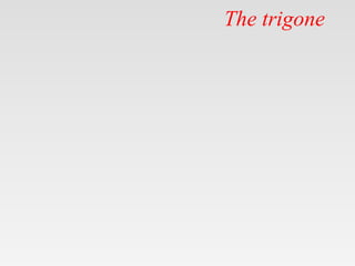 Urinary bladder anatomy, congenital anomalies.pptx