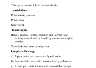 urinary bladder and ureter urology gynaecology medicine | PPTX