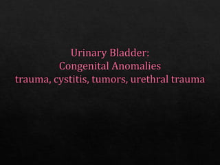 urinary bladder conditions.ppt