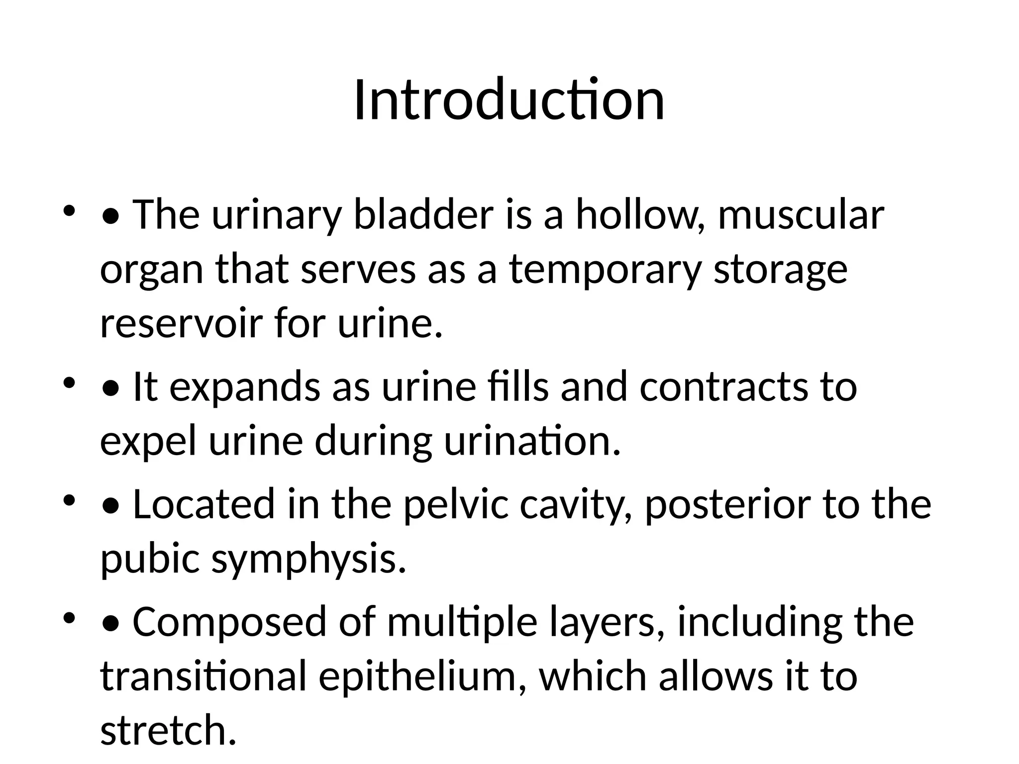 Urinary_Bladder_Detailed_Presentation.pptx
