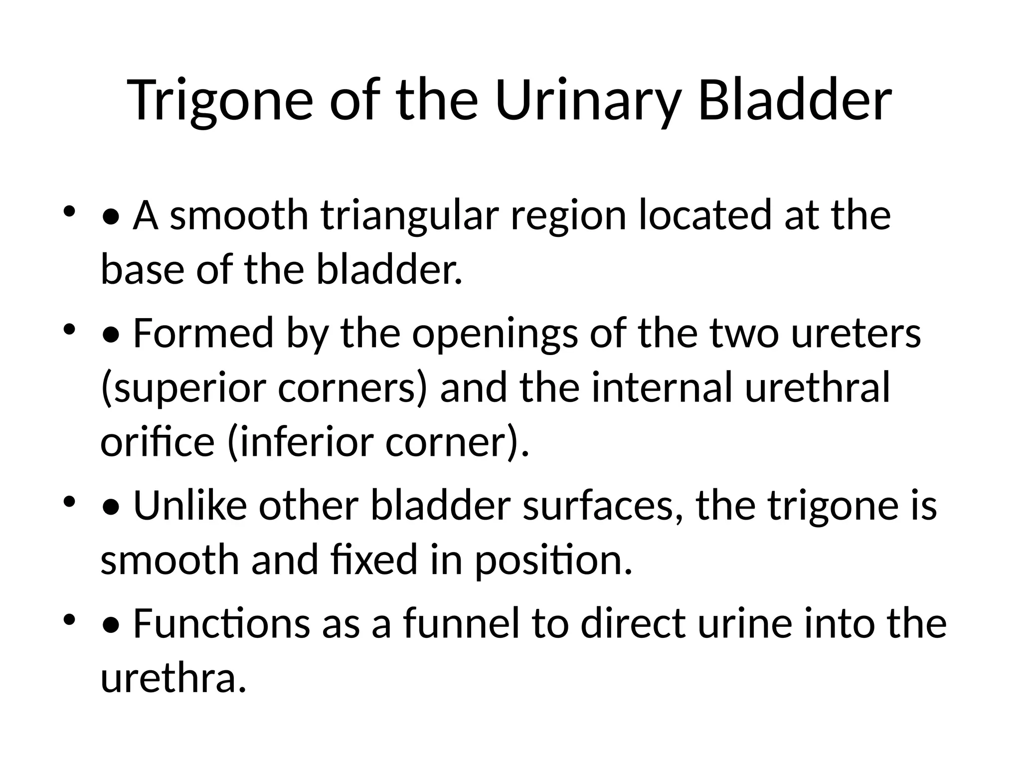 Urinary_Bladder_Detailed_Presentation.pptx
