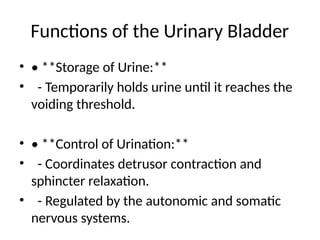 Urinary_Bladder_Detailed_Presentation.pptx