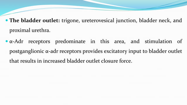 Urinary bladder dysfunction in neurosuregry | PPTX | Brain and Nervous ...