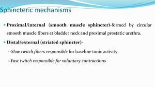 Urinary bladder dysfunction in neurosuregry | PPTX