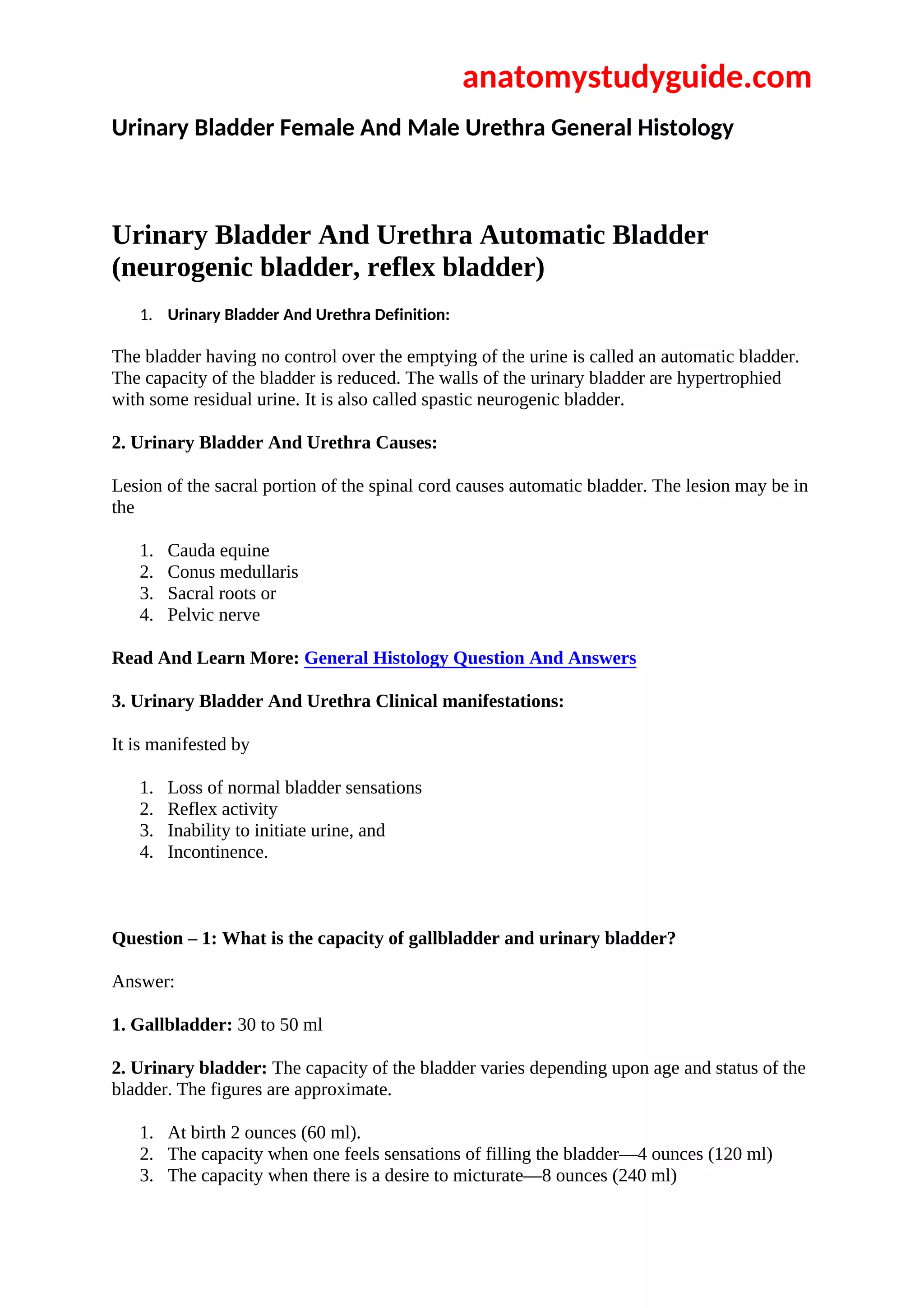 Urinary Bladder Female And Male | PDF
