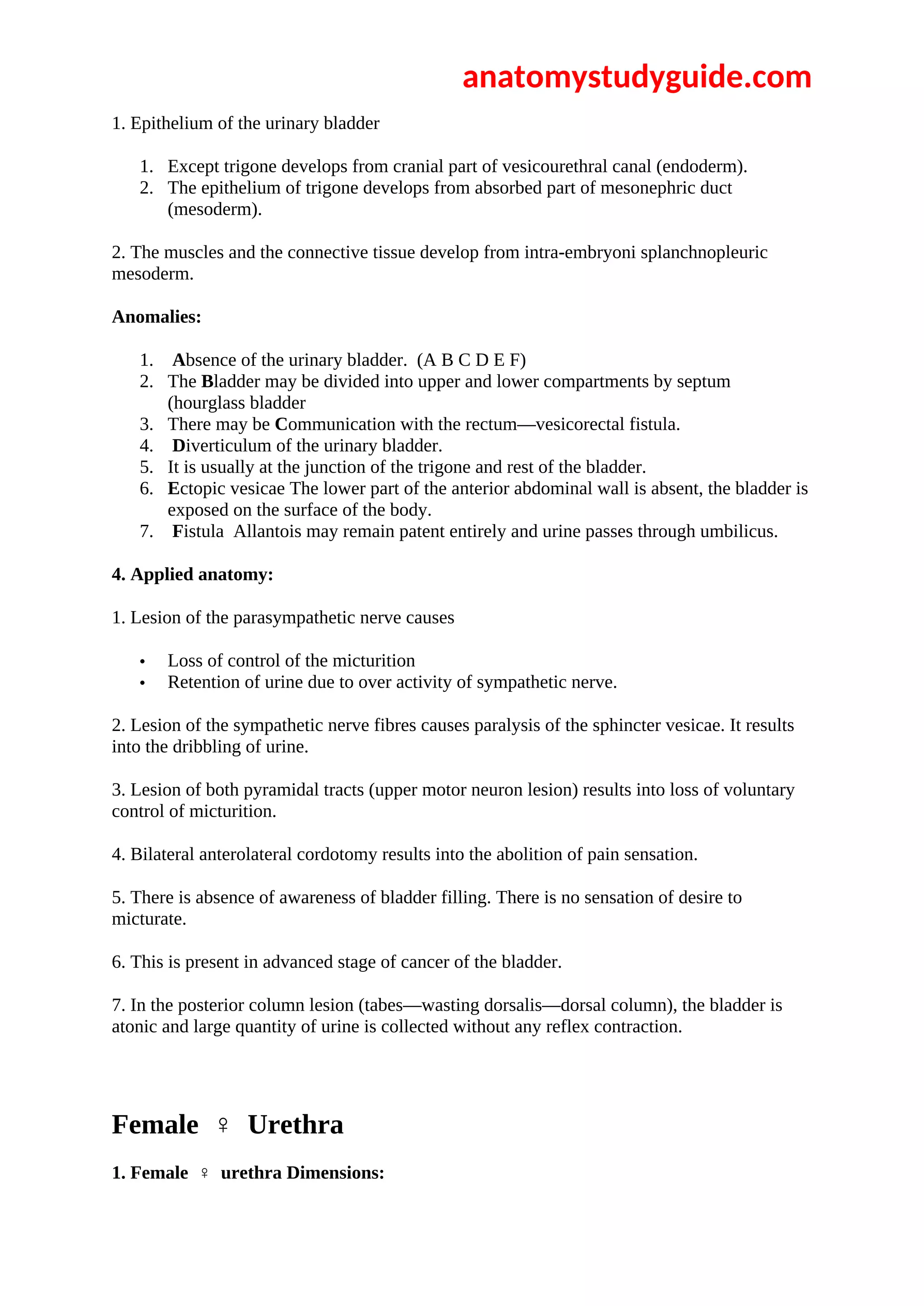 Urinary Bladder Female And Male | PDF