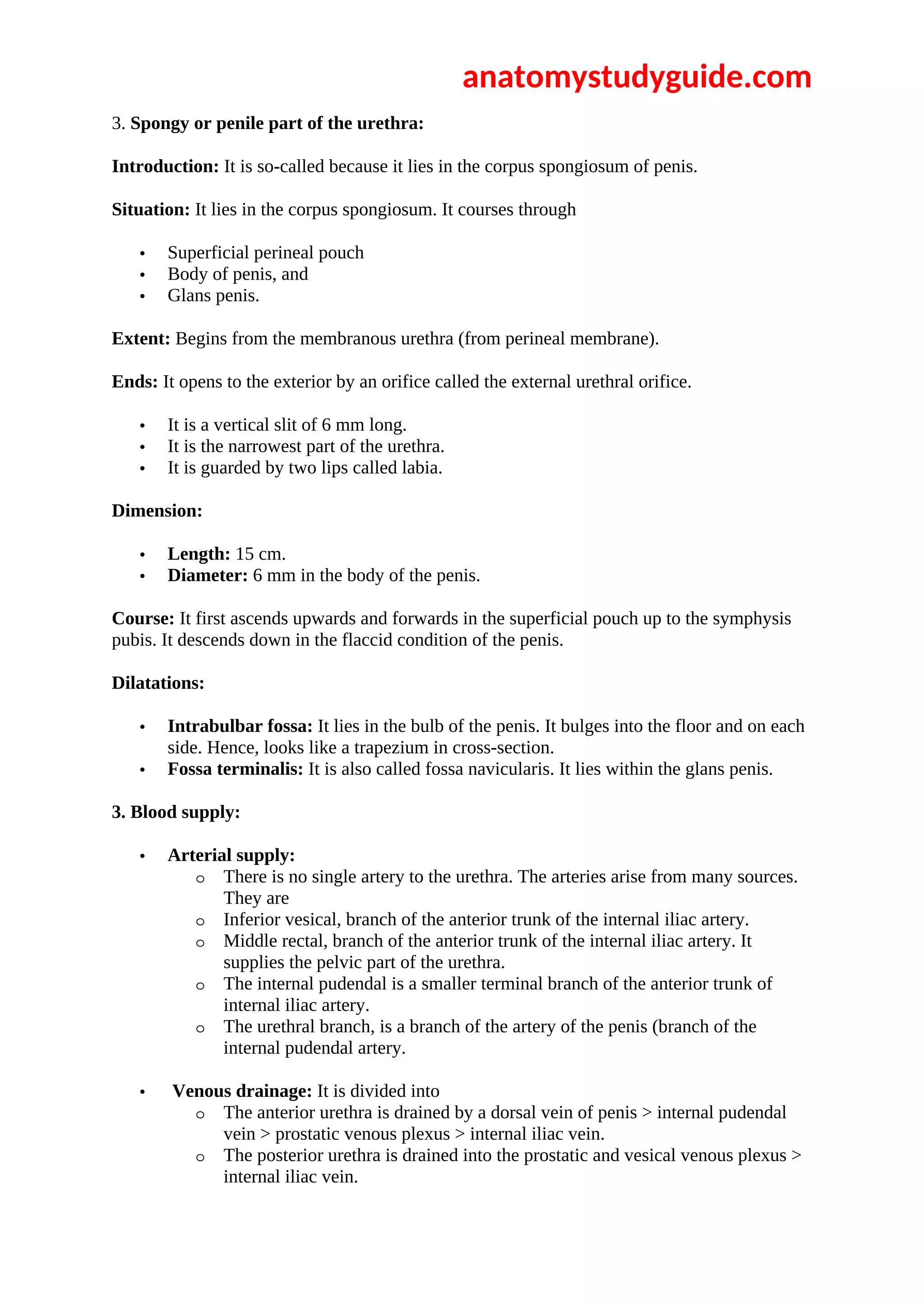 Urinary Bladder Female And Male | PDF