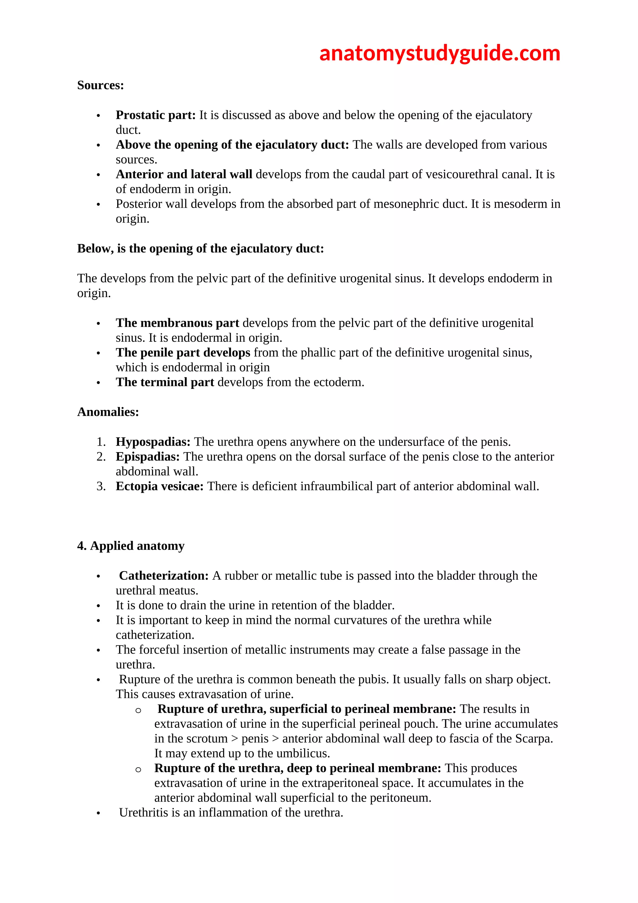 Urinary Bladder Female And Male | PDF