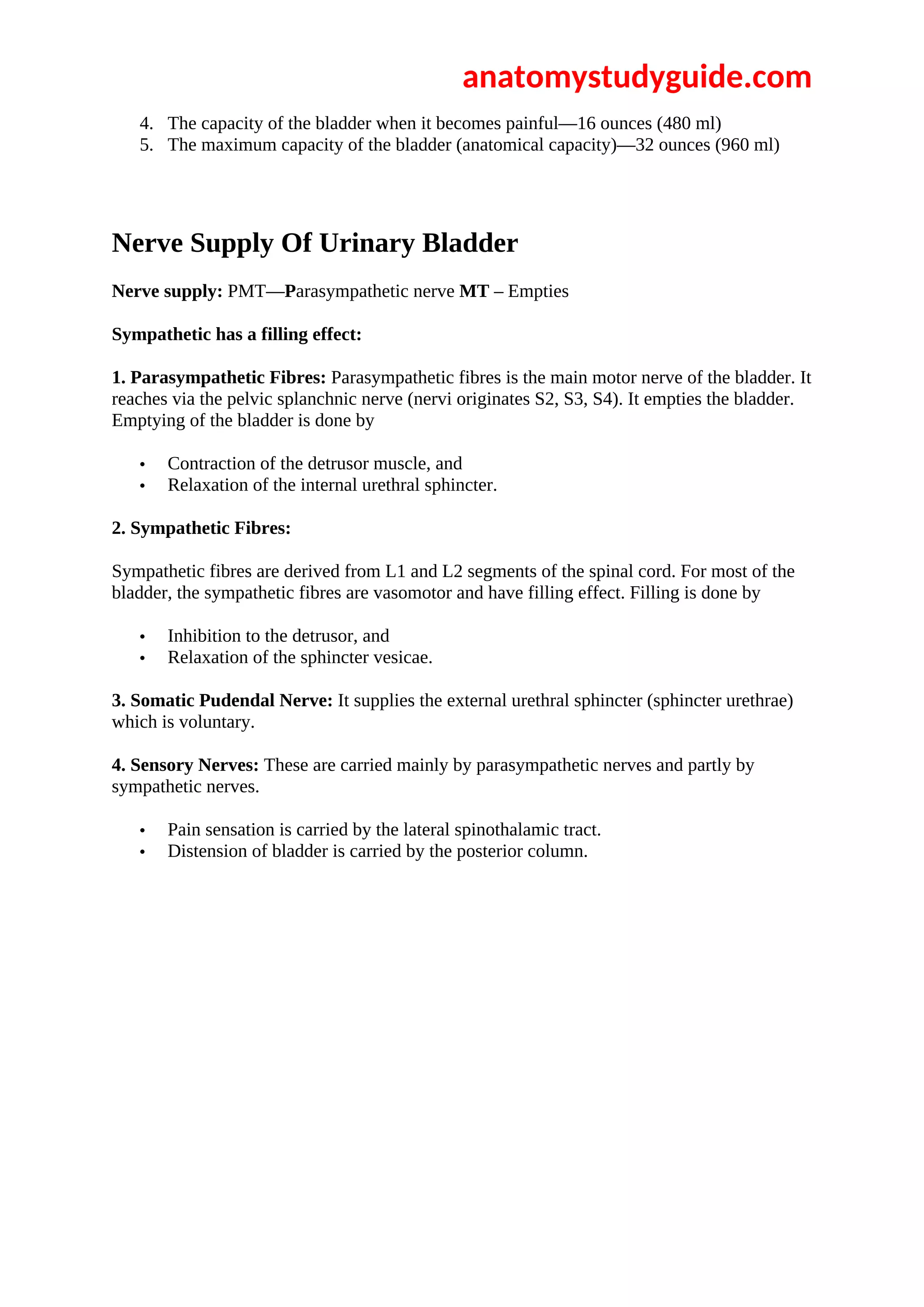Urinary Bladder Female And Male | PDF